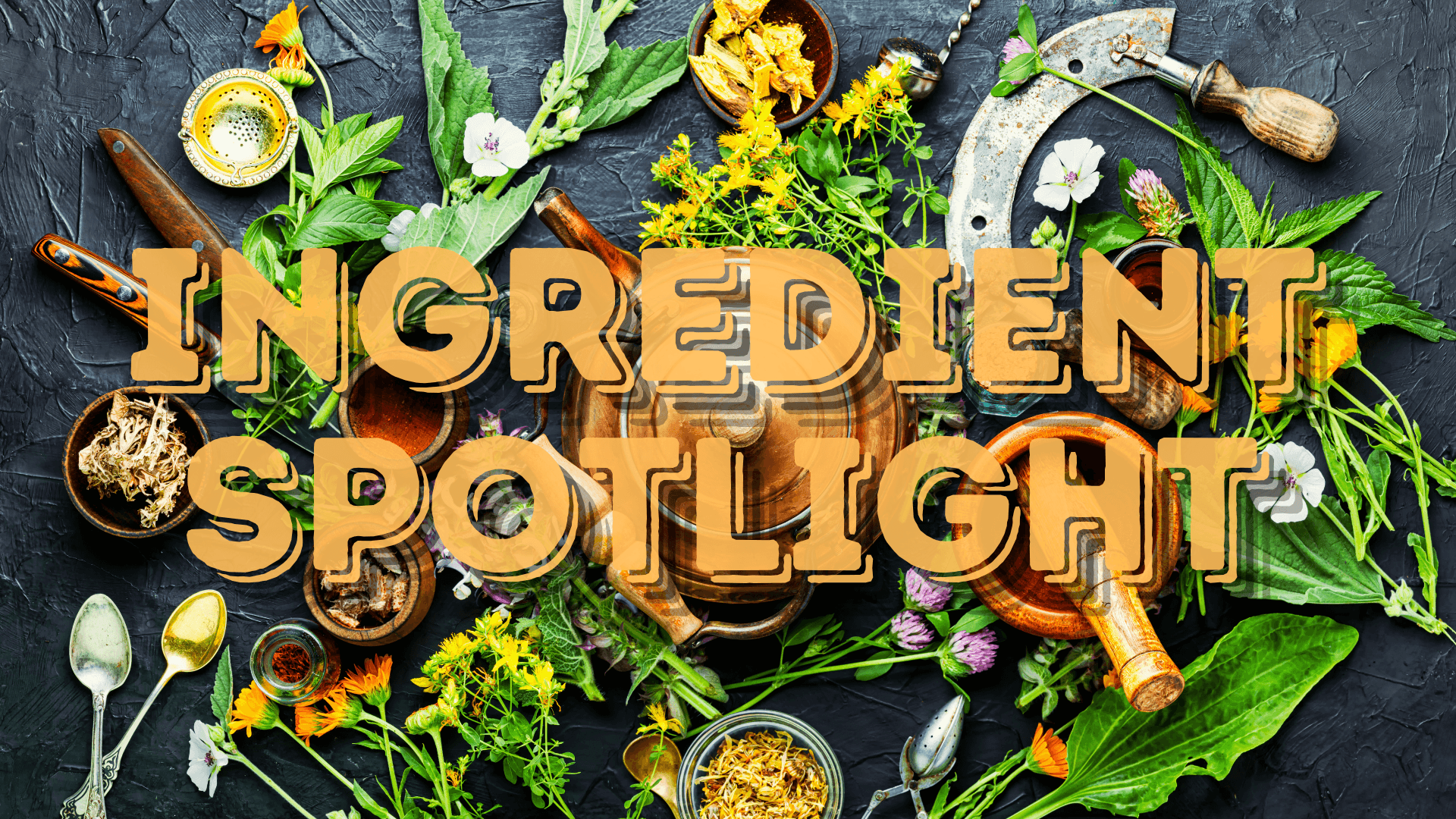 Ingredient Spotlight - The Cooking Lane